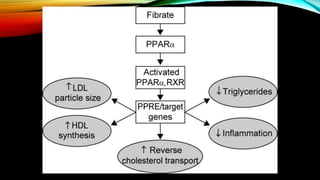 Fibrates - class, effects, side effects, drugs interactions, main ...