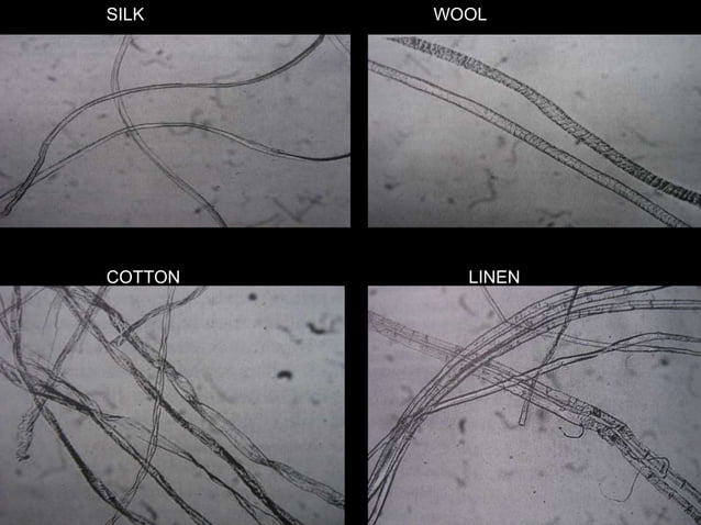 FIBRE- As Forensic Evidence Vikas Dhanda.ppt