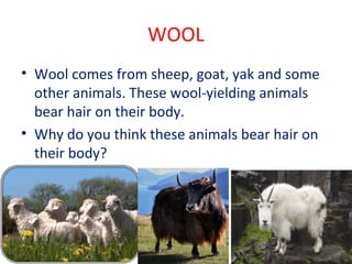 Fibre to Fabric | PPT