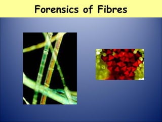 Fibre and hair analysis | PPT