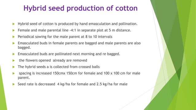 Fibre crops | PPTX | Agriculture | Industries
