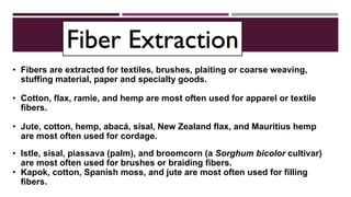 Fibre extraction | PDF | Needlework | Arts and Crafts