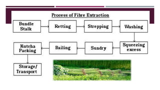 Fibre extraction | PDF | Needlework | Arts and Crafts