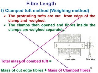 Fibre Length.pdf