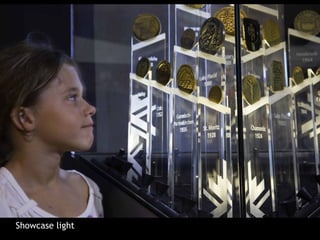 Fibre optic lighting by Roblon - Denmark | PPT