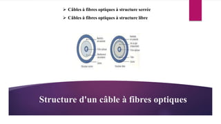 Fibre optique.pptxbdbbdbbbbbbbvvvvvvvvvvvv | PPTX | Internet | Computing