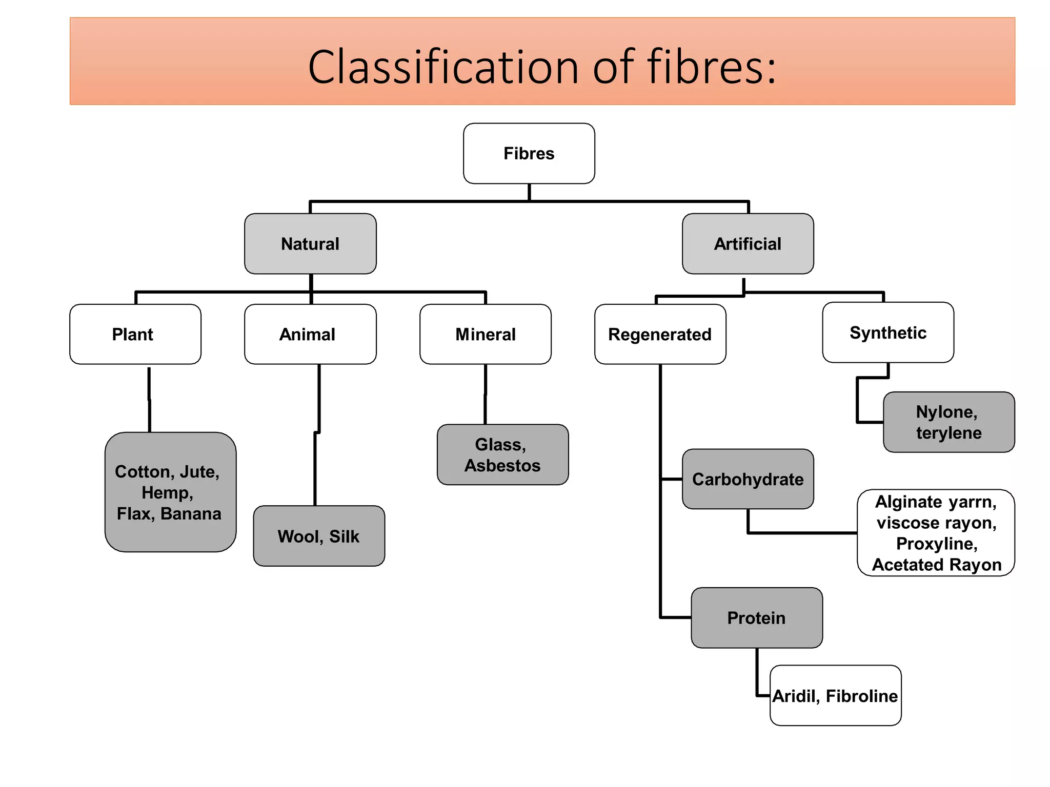 fibres-drugs.pdf