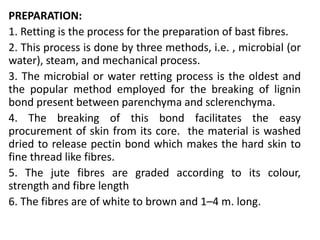 Fibres (cotton, jute, hemp) | PPTX