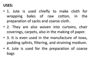 Fibres (cotton, jute, hemp) | PPTX