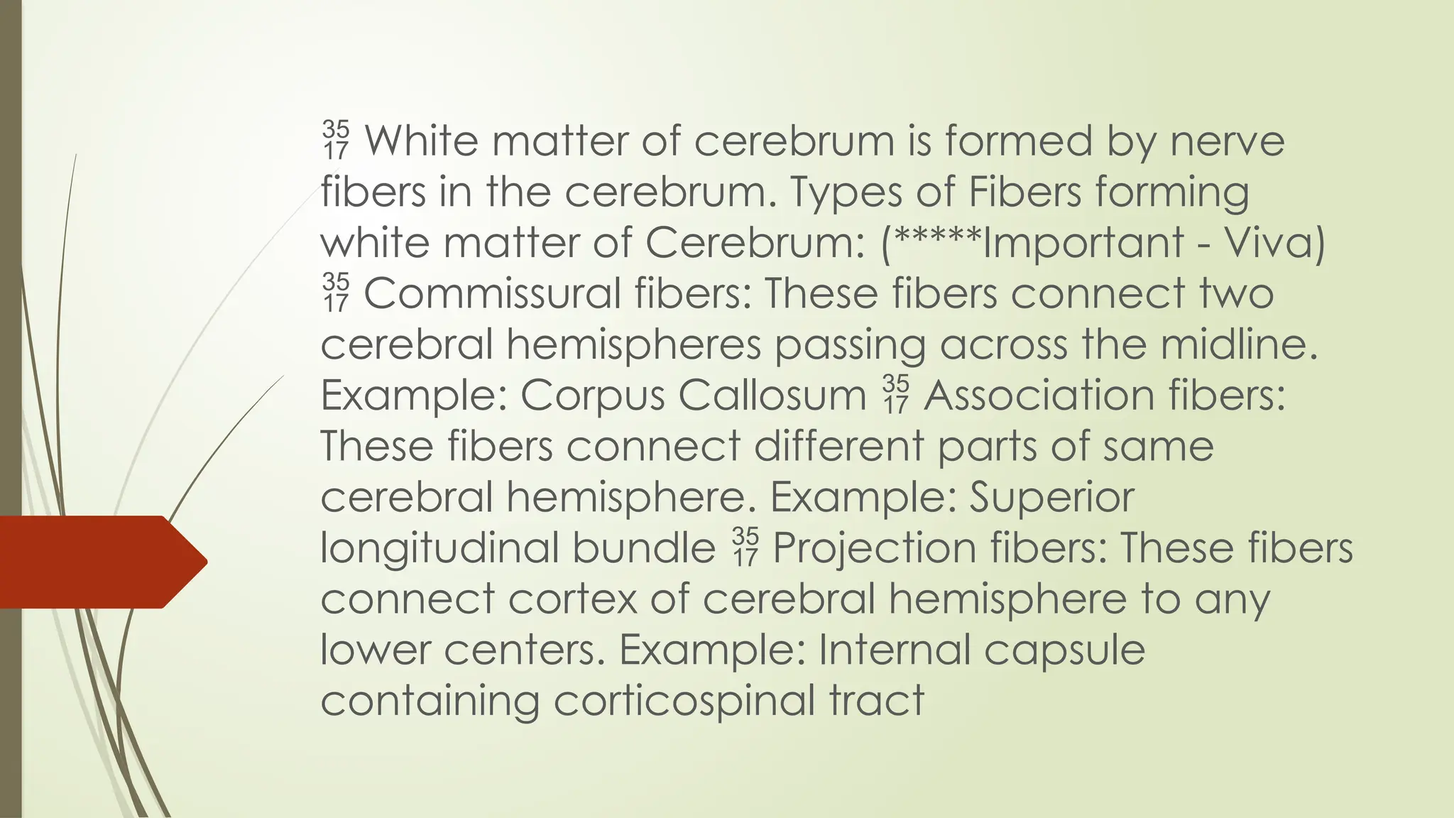 fibres of HUMAN cerebrum ANATOMY IN SJORT.pptx