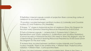 fibres of HUMAN cerebrum ANATOMY IN SJORT.pptx