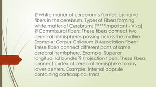 fibres of HUMAN cerebrum ANATOMY IN SJORT.pptx