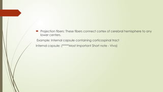 fibres of HUMAN cerebrum ANATOMY IN SJORT.pptx