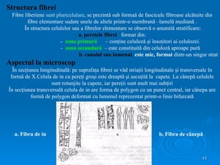 Fibre Textile Naturale | PPT