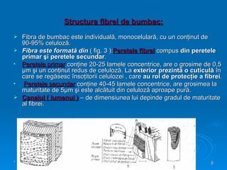 Fibre Textile Naturale | PPT