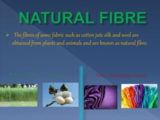 Fibre to fabric | PPTX