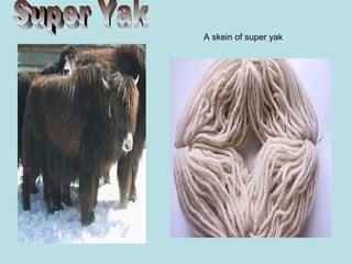 03. Fibre to fabric by Dilip Kumar Chandra | PPT