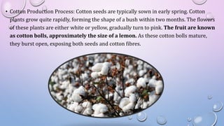Fibre to Fabric.pptx