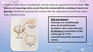 Fibre to Fabric.pptx