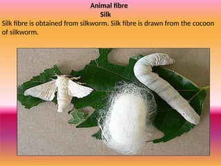 Class 6 science chemistry fibre to fabric.pptx