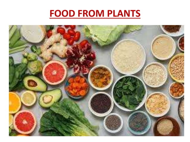 SOURCES OF FOOD PART-1 | PPTX