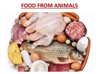 SOURCES OF FOOD PART-1 | PPTX