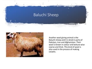 Fibre to fabric by pratham sharma vii | PPTX