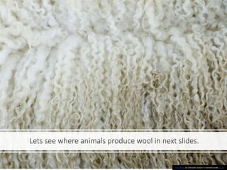 Fibre to fabric by pratham sharma vii | PPTX
