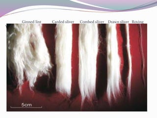 Fibre to yarn | PPTX