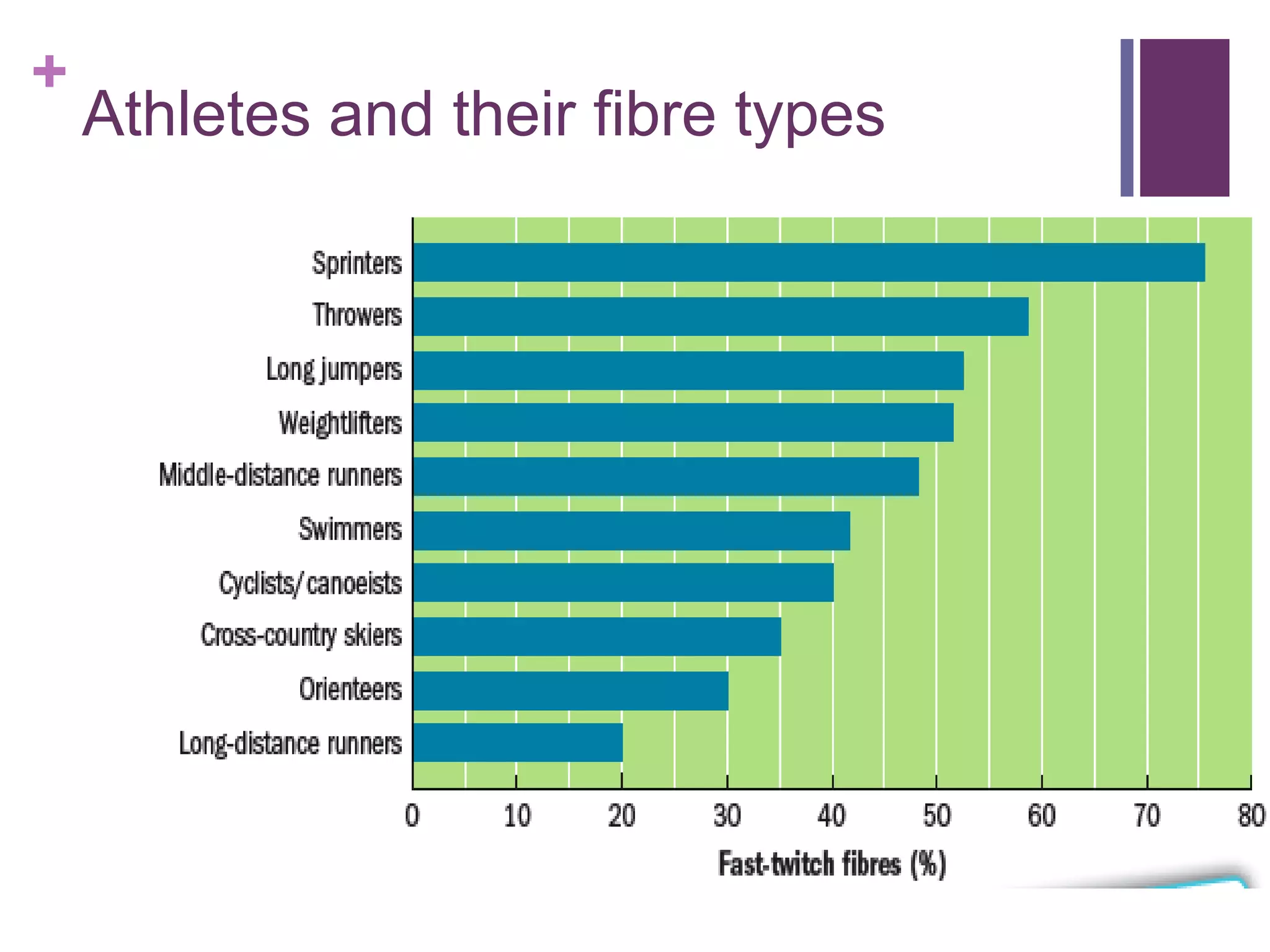 Muscle fibre types and contractions | PPTX