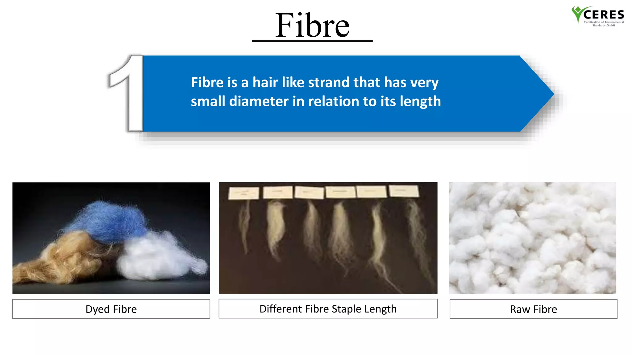 Fibre_Yarn_Fabric _ V-1.9 _ (Protected).pptx