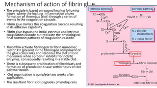 FIBRIN GLUE IN OPHTHALMOLOGY.pptx