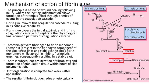 FIBRIN GLUE IN OPHTHALMOLOGY.pptx | First Aid | Injuries