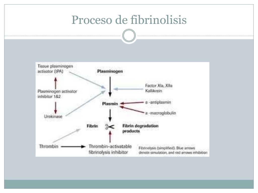Fibrinólisis