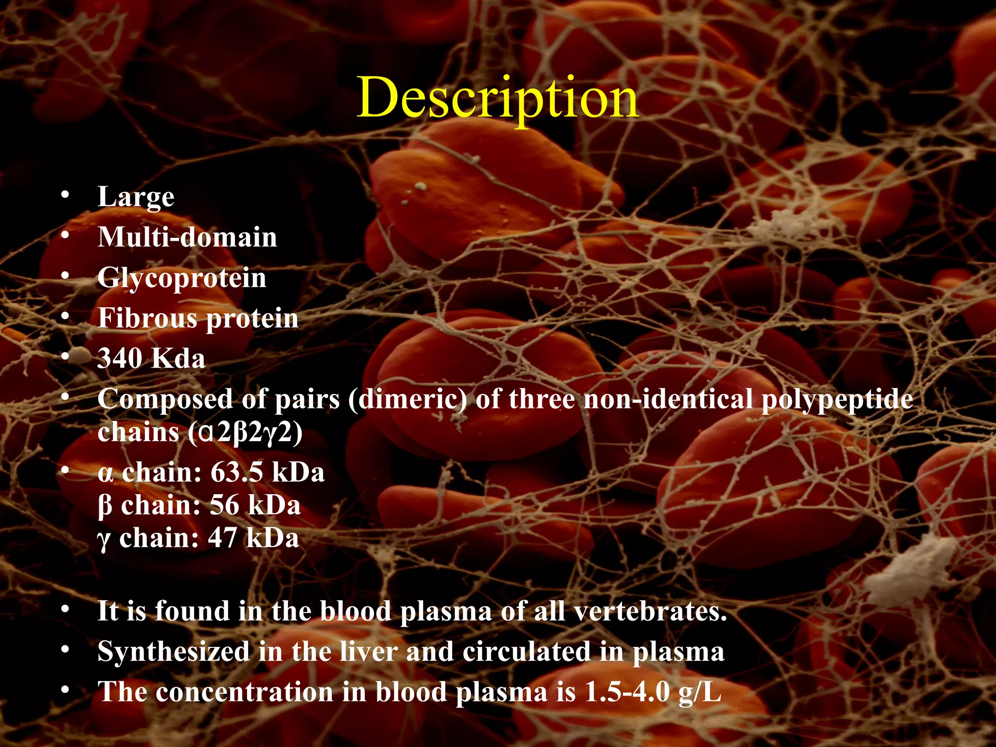 crystal structure of human fibrinogen | PPT