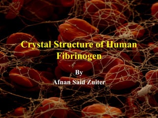 Fibrinogen