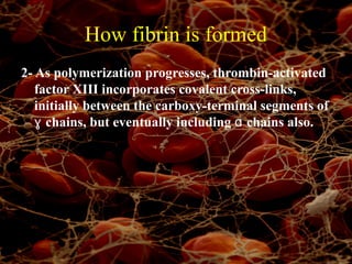 crystal structure of human fibrinogen | PPT