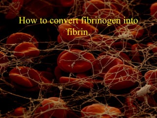 crystal structure of human fibrinogen | PPT