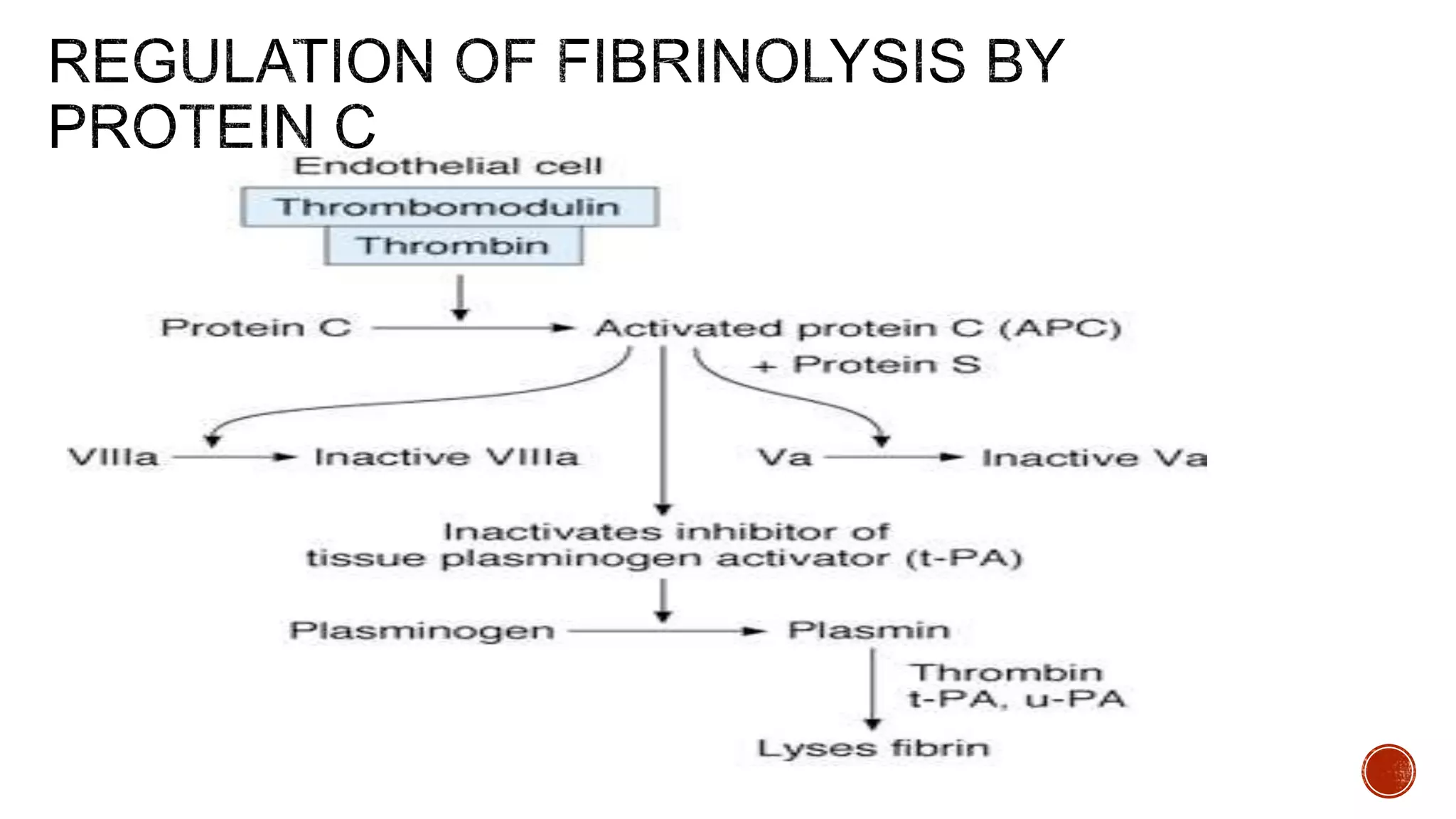 Fibrinolysis system | PPTX