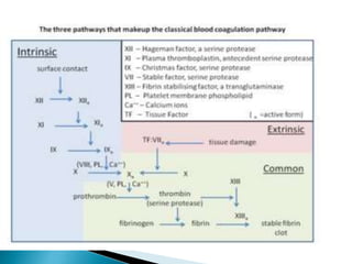 Fibrinolytics | PPTX | Blood Disorders | Diseases and Conditions
