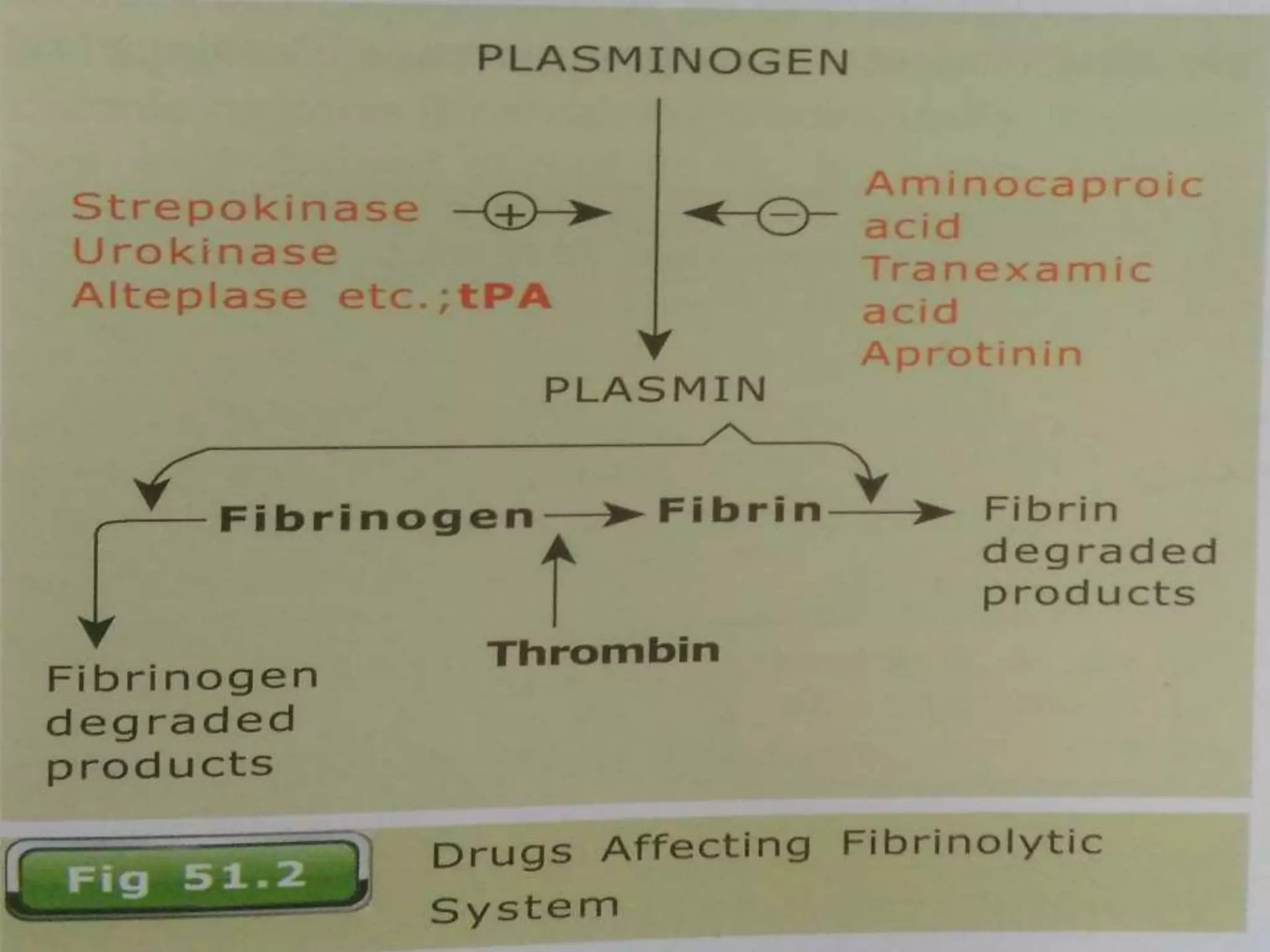 Fibrinolytics and antifibrinolytics | PPTX