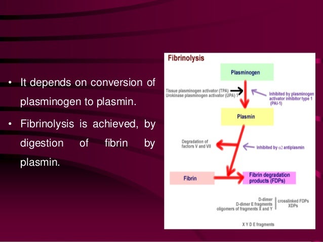 Fibrinolytic system