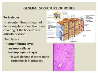 fibro-osseouslesionsofthejawscopy-180606102020.ppt