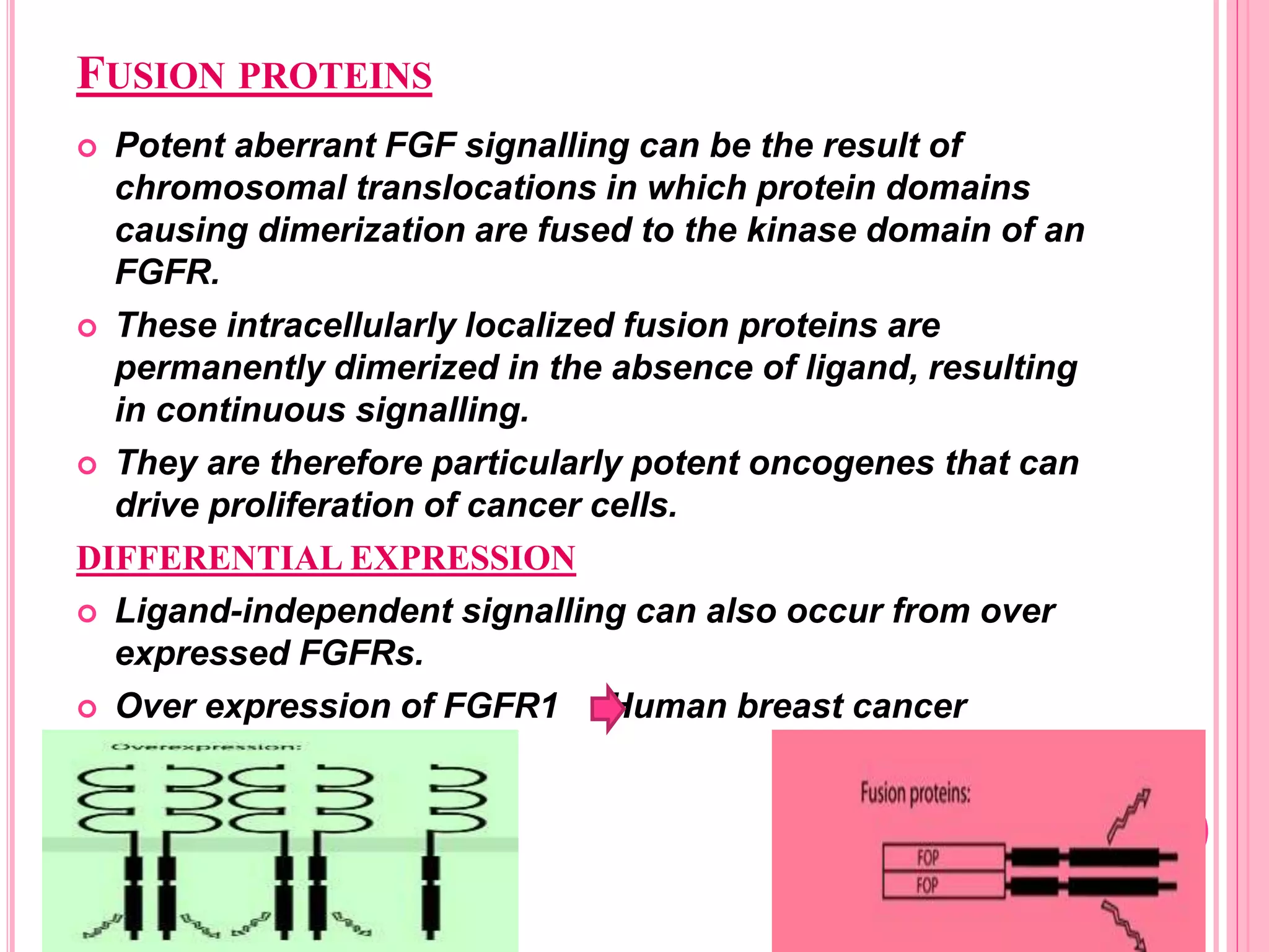 Fibroblast growth factors | PPTX