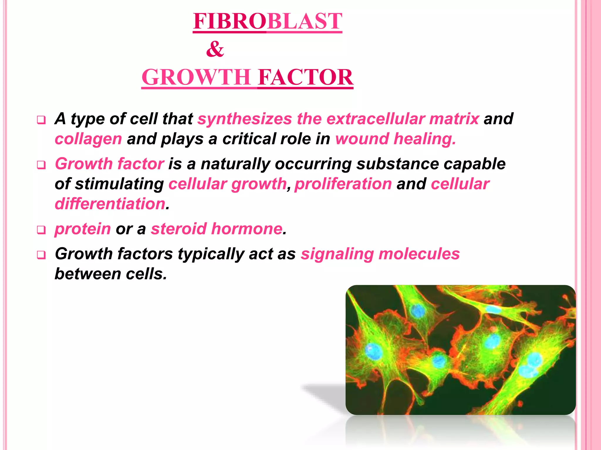 Fibroblast growth factors | PPTX