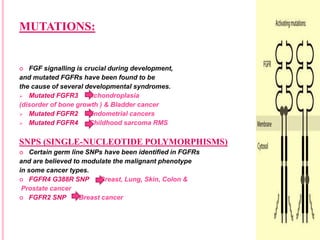 Fibroblast growth factors | PPTX