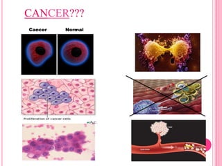 Fibroblast growth factors | PPTX