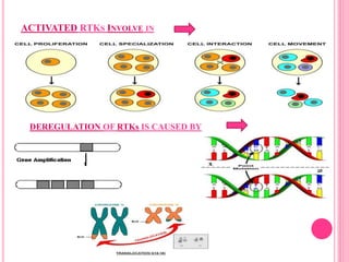 Fibroblast growth factors | PPTX