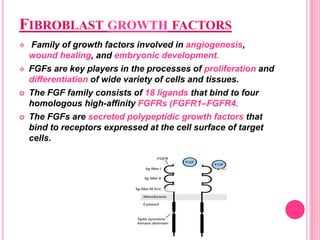 Fibroblast growth factors | PPTX
