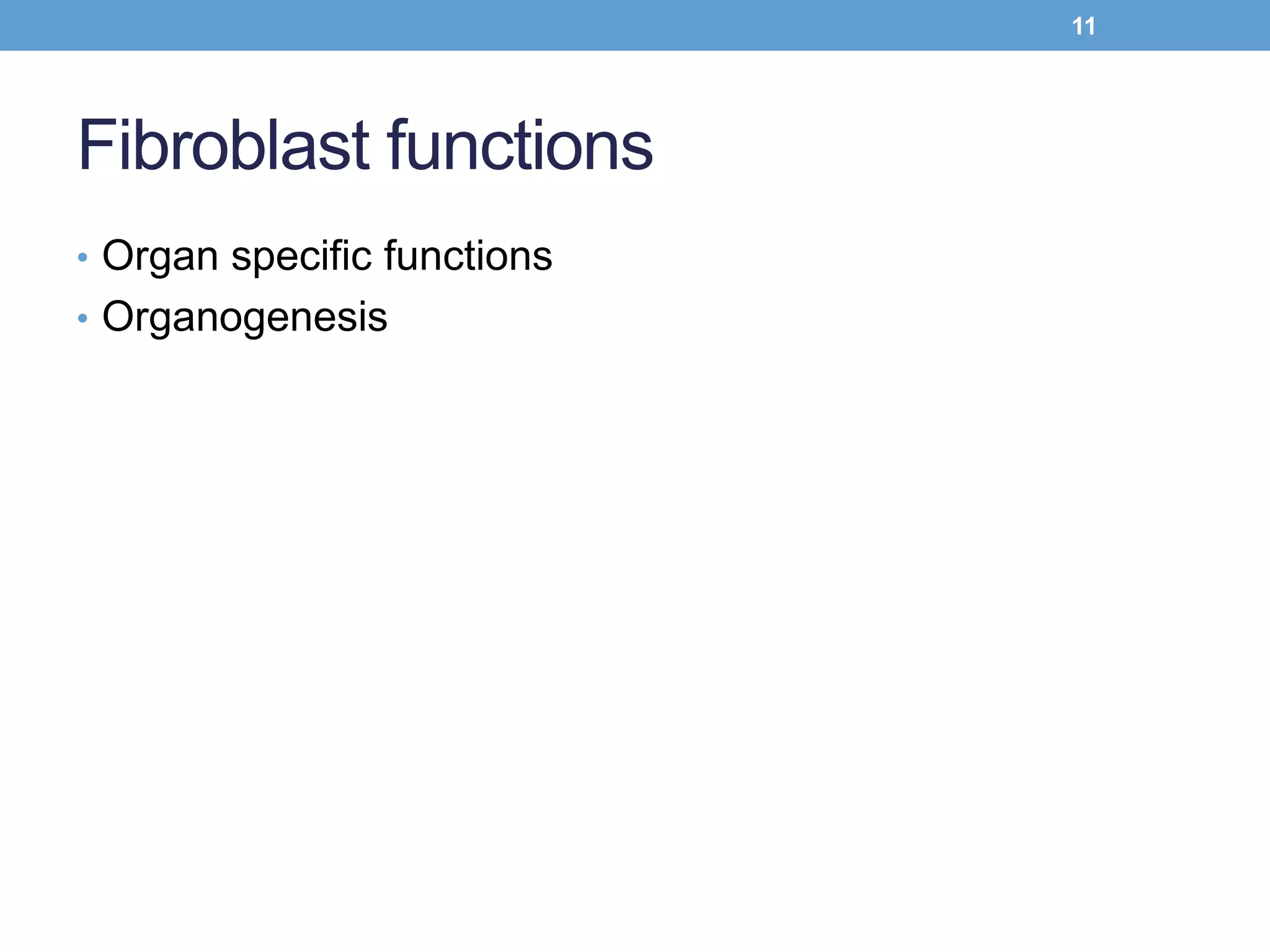 Fibroblasts in Health and Disease | PPTX